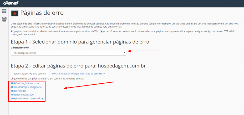Como criar páginas de erro personalizadas no cPanel - Hoost