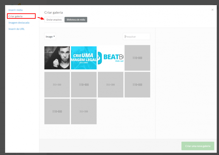 Criando uma Galeria de Fotos - Hoost